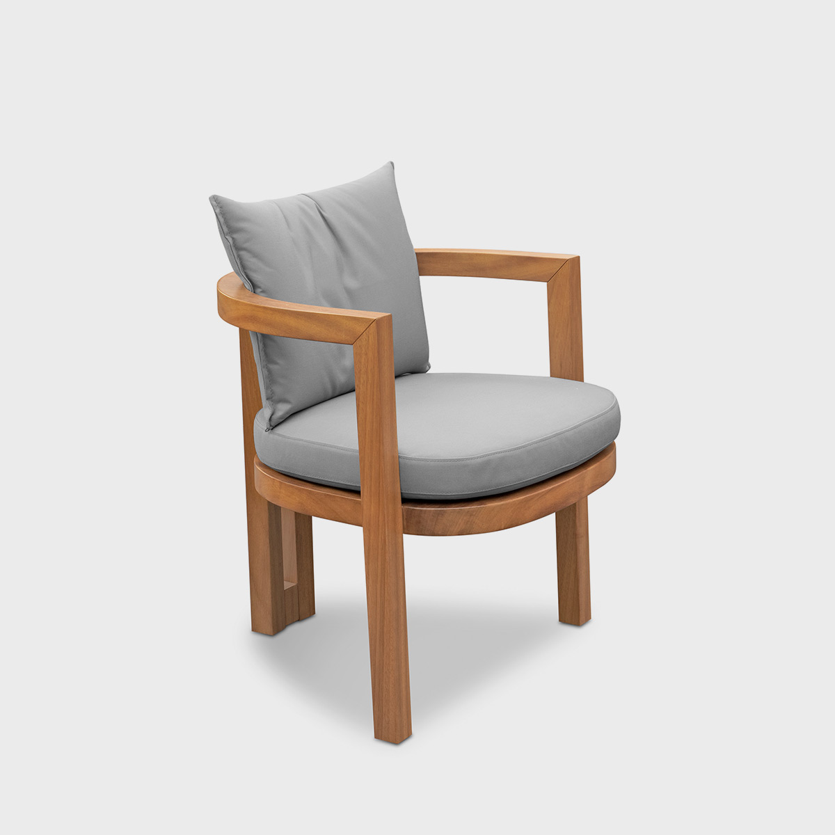 Roda chair - homad