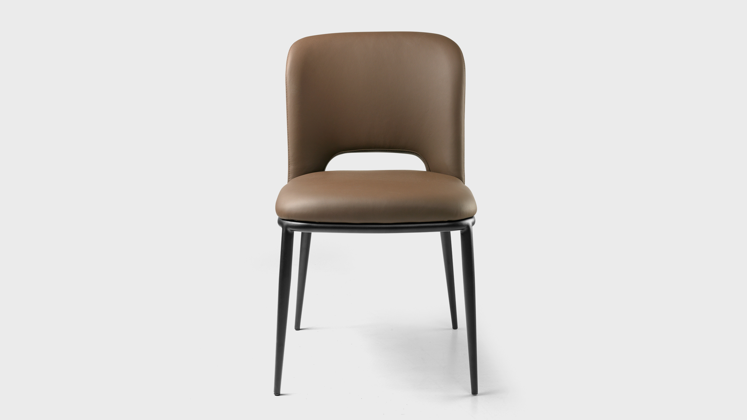 Dario - Premium Offer - homad
