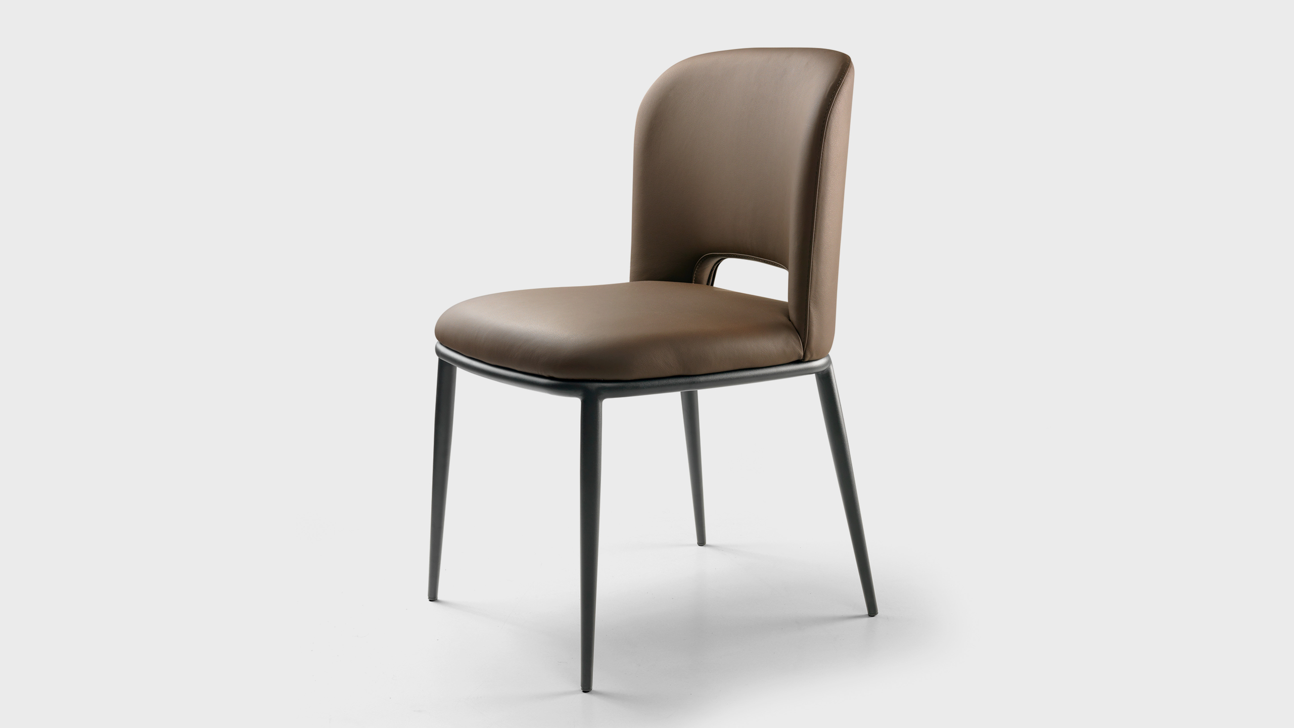 Dario - Premium Offer - homad